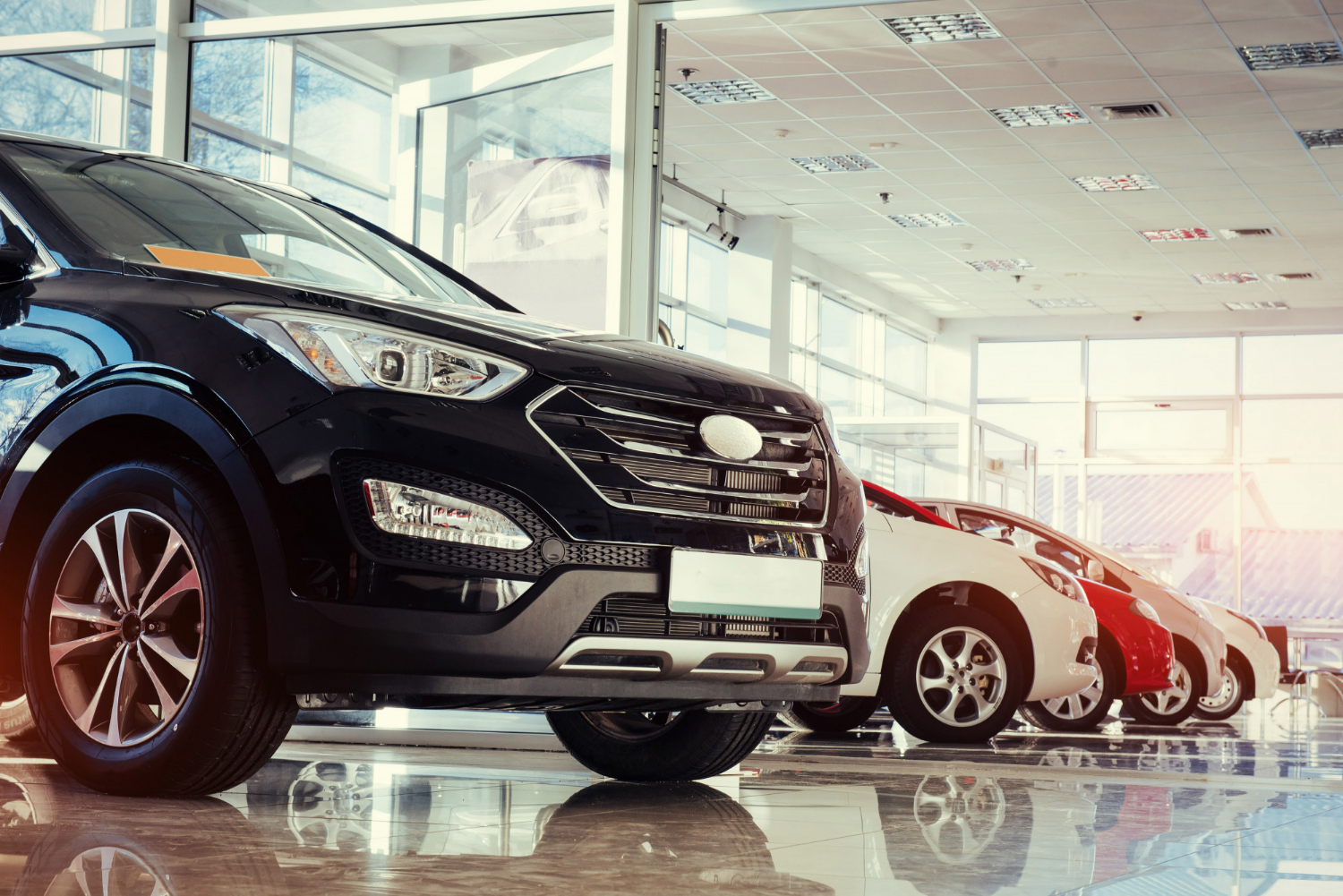 Top 5 Most Reliable Used Cars for USA and Canada Road Conditions (2025 ...